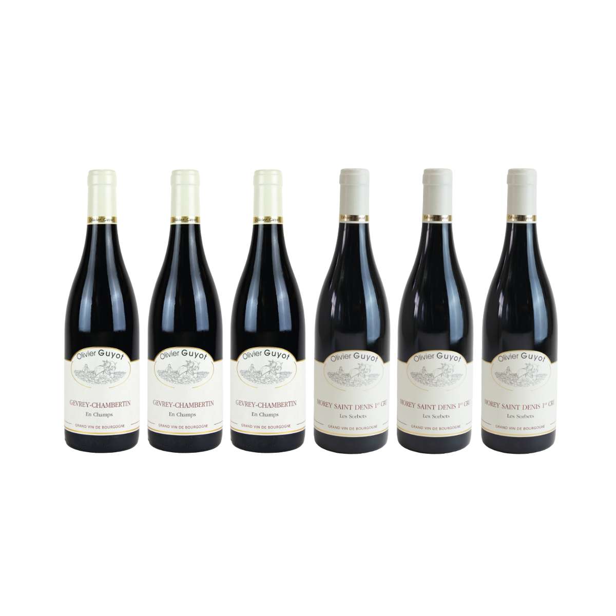 Olivier Guyot 2021 Vintage Selection | Caviste Wine